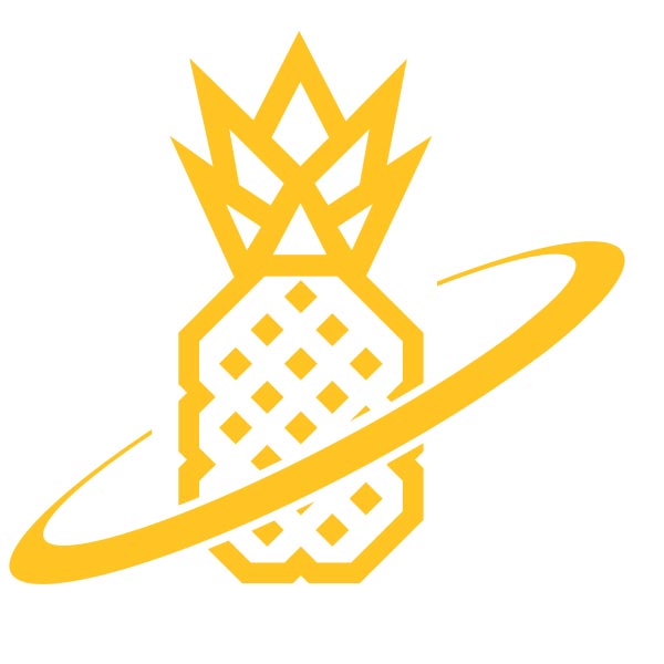 SCHOOL LOGO DESIGN PERTH - Pineapple Planet Perth
